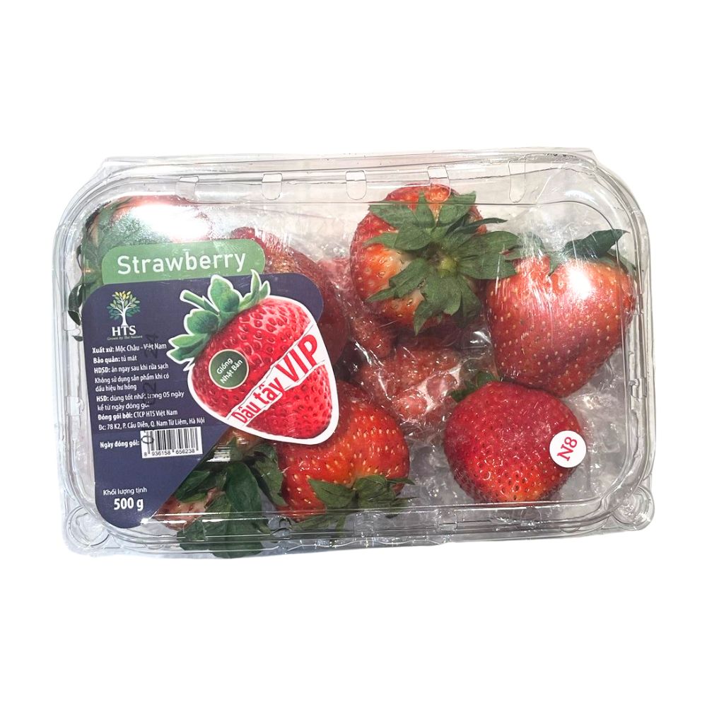 Dâu Tây Mộc Châu Size VIP HTS 500g