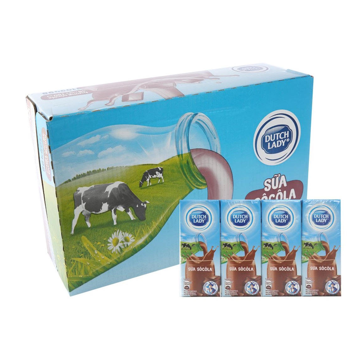 Thùng 12 Lốc Sữa Dutch Lady Socola 180ml chính hãng giá tốt tại AEONESHOP